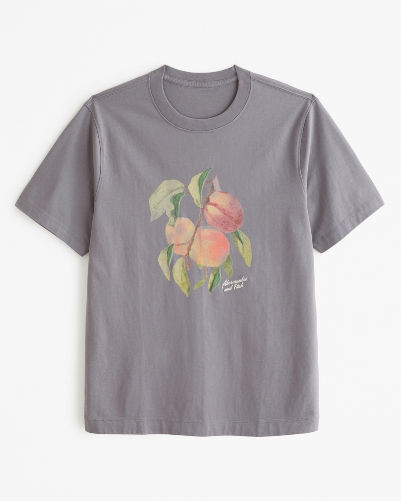 Men's Premium Polished Graphic Logo Tee | Men's Tops | Abercrombie.com