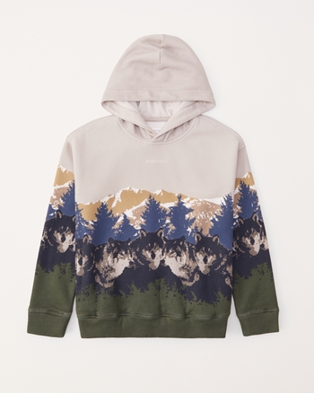boys essential logo graphic popover hoodie | boys sale | Abercrombie.com