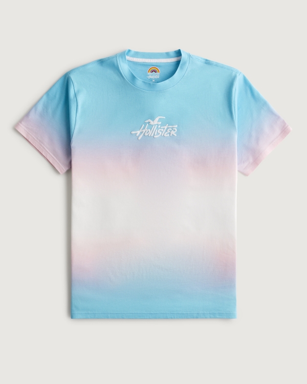 Women's Graphic Tees | Hollister Co.